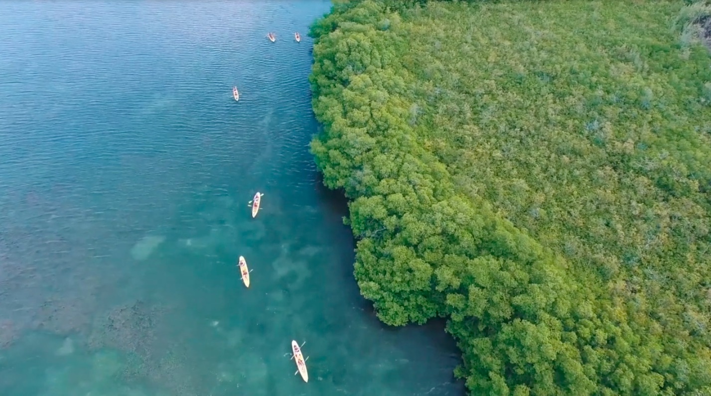 Best U.S. Virgin Islands Excursions and Island Tours