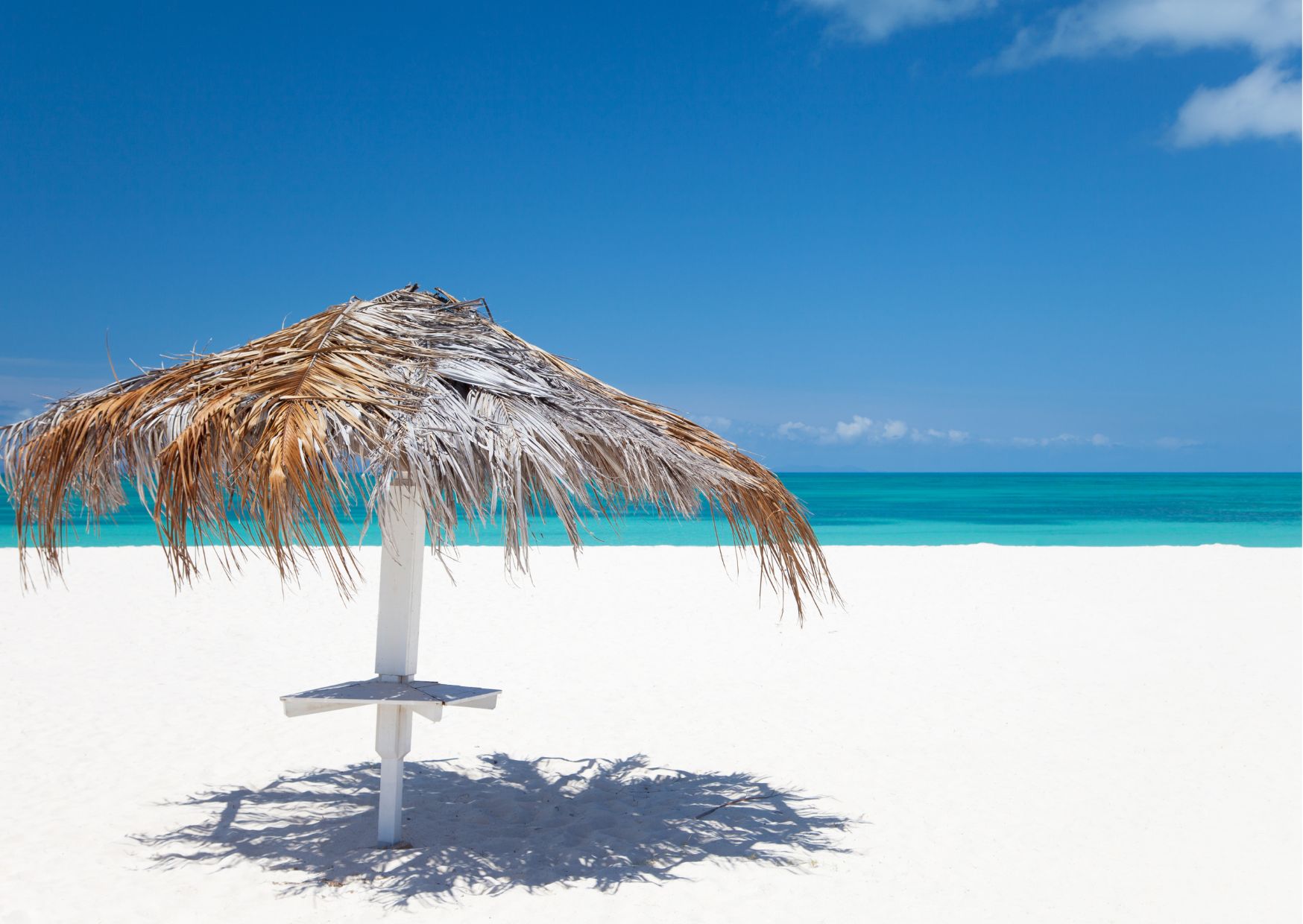 Anegada: The Untouched Paradise in the British Virgin Islands