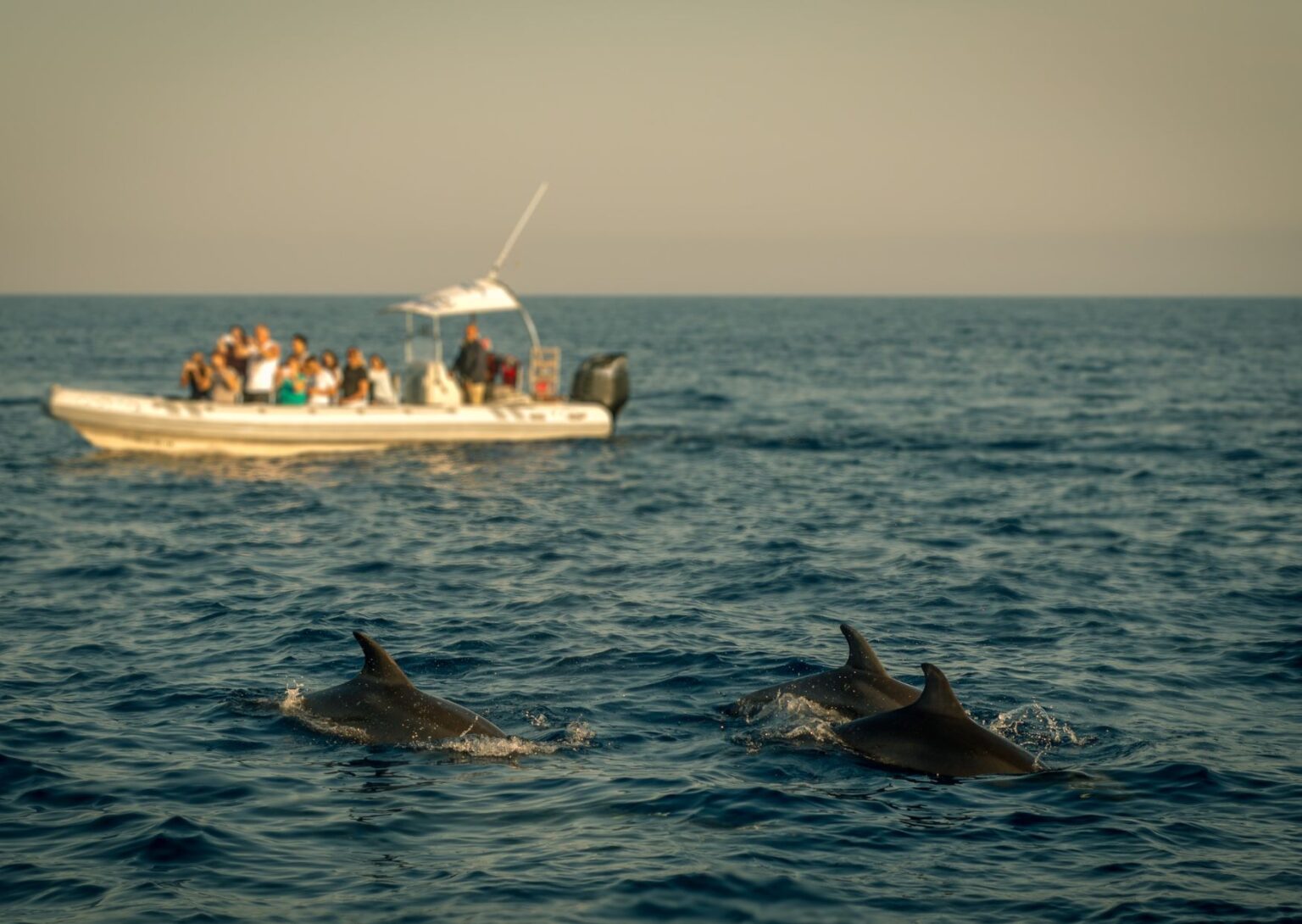 The Best Water Excursions in Anguilla - Destination Magazines