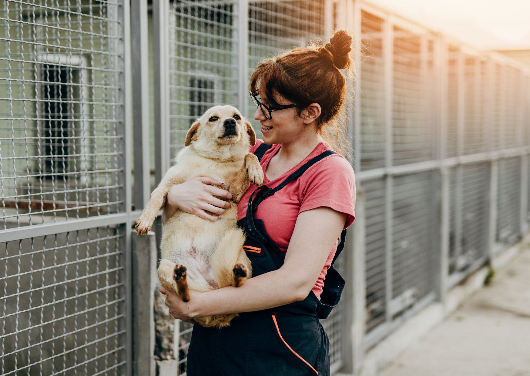 Rent a Dog - Destination Magazines